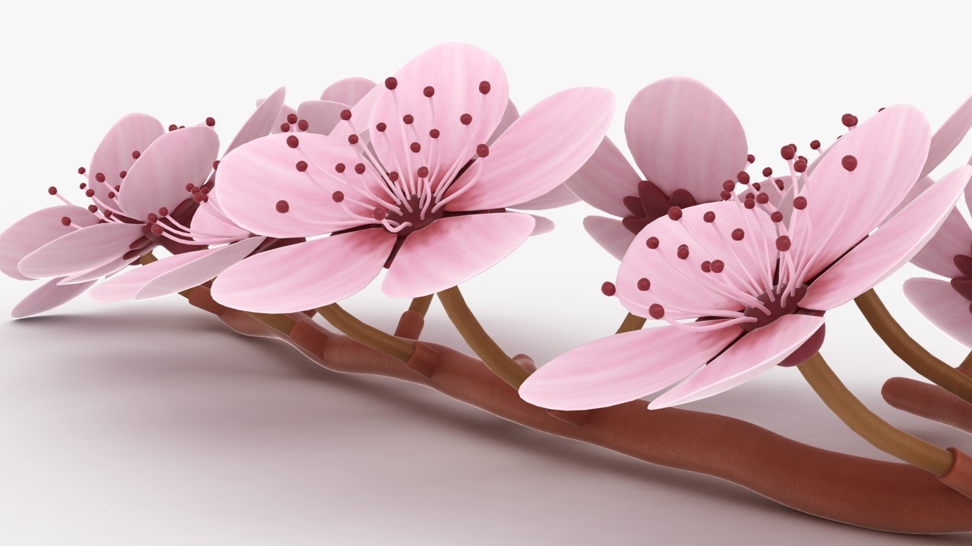 3D realistic cherry blossom model - TurboSquid 1635542