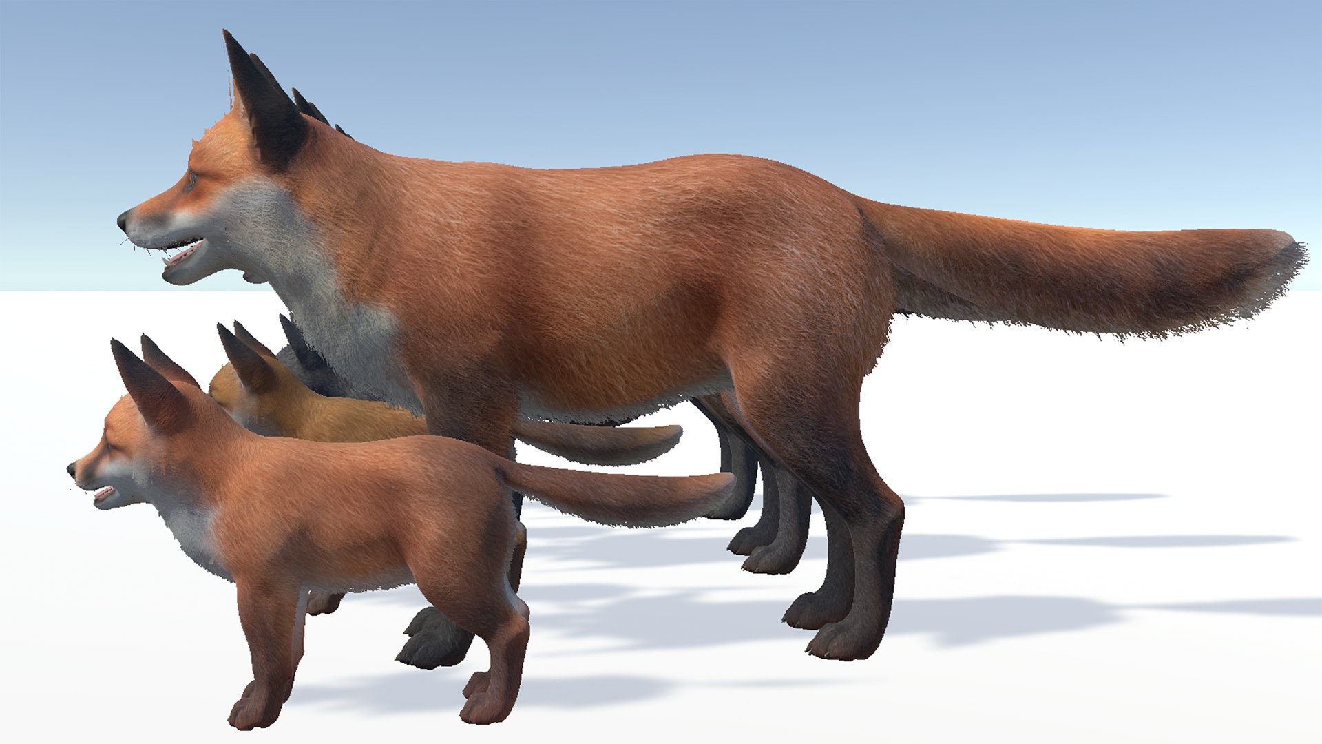 Fox - Family Model - TurboSquid 2111058