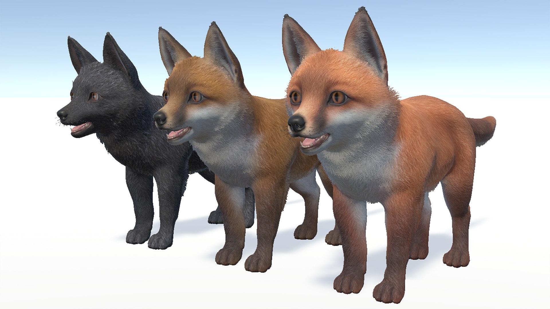 Fox - Family Model - TurboSquid 2111058