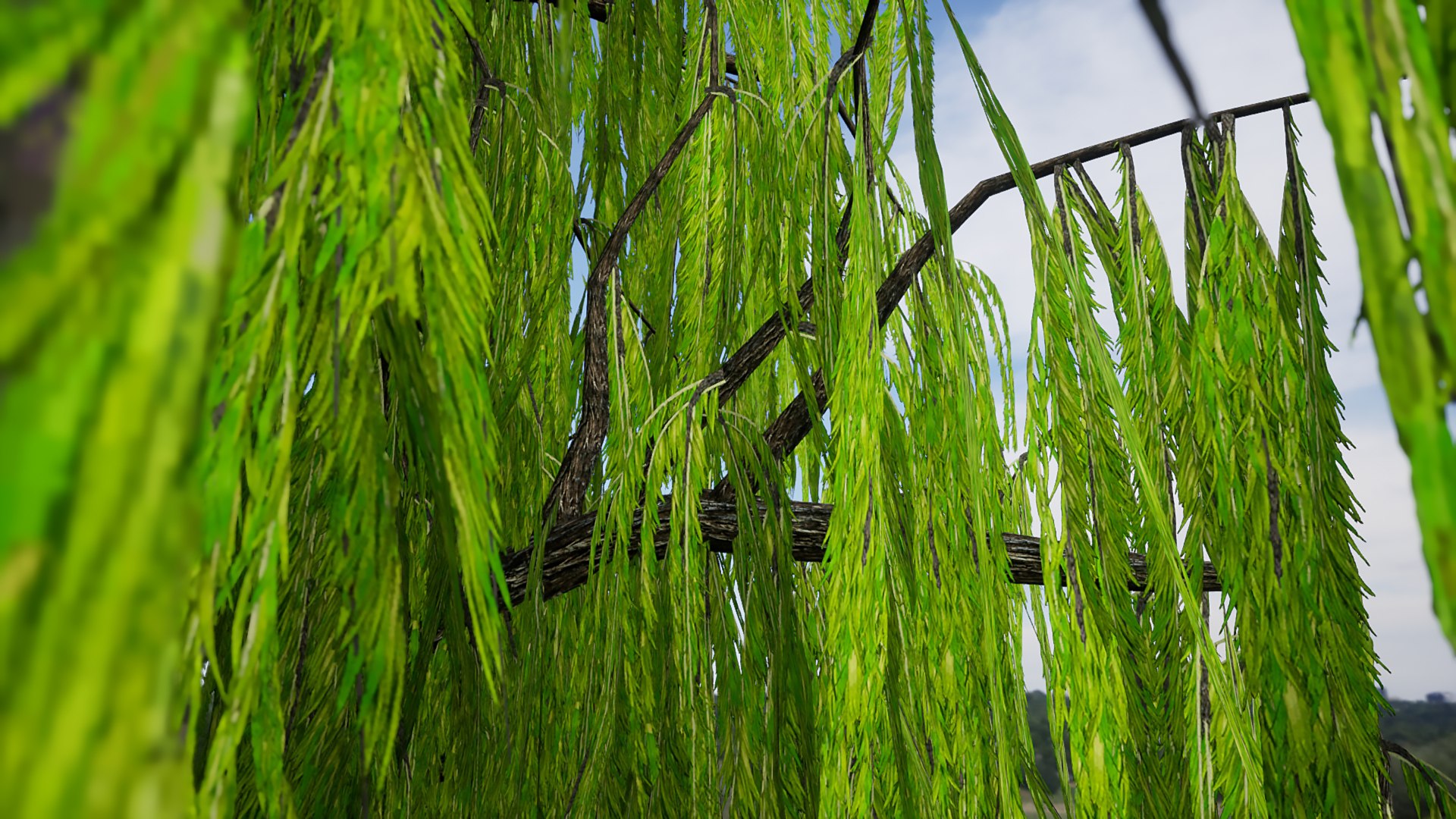 4 Korean Weeping Willow Tree Plant Model II Game Ready II LOD 3D Model - TurboSquid 2322906