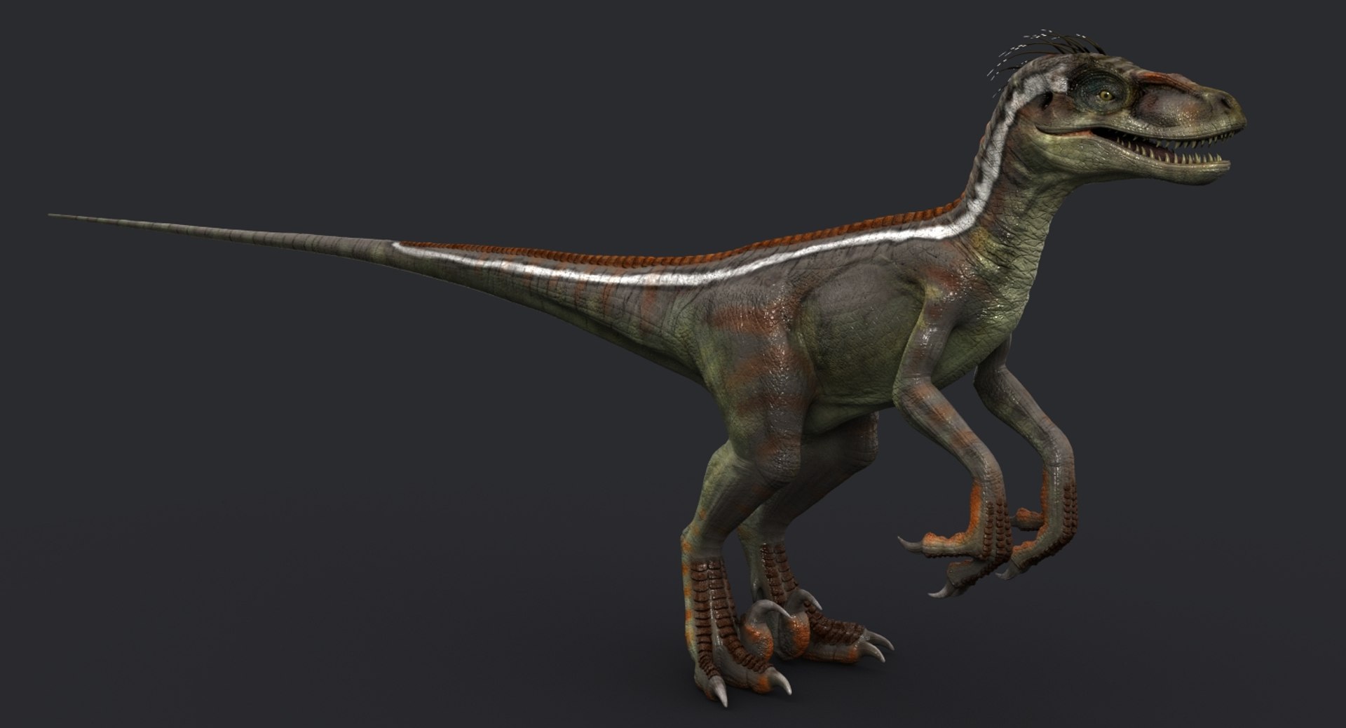 Velociraptor 1 3d Model