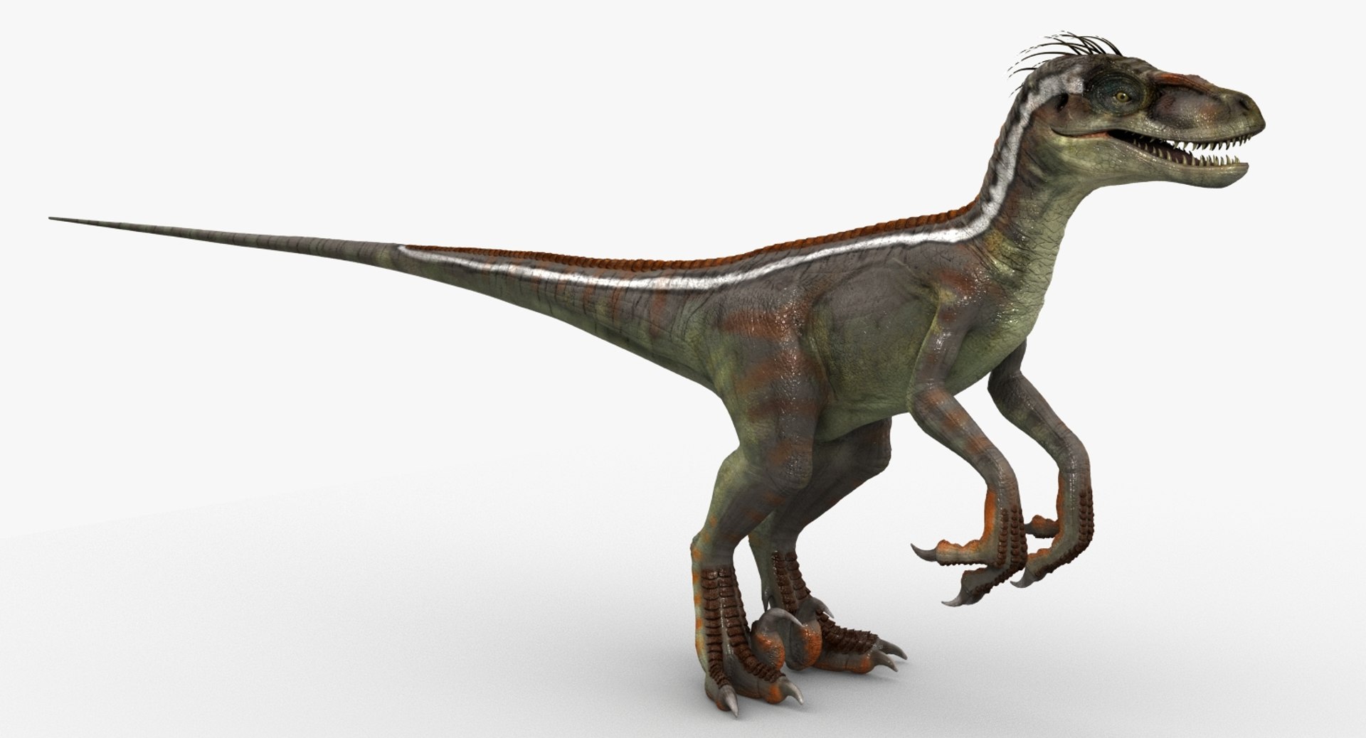 Velociraptor 1 3d Model