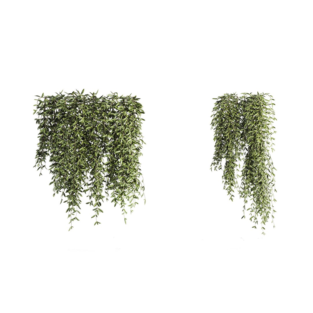 3D Ivy Model - TurboSquid 2361678