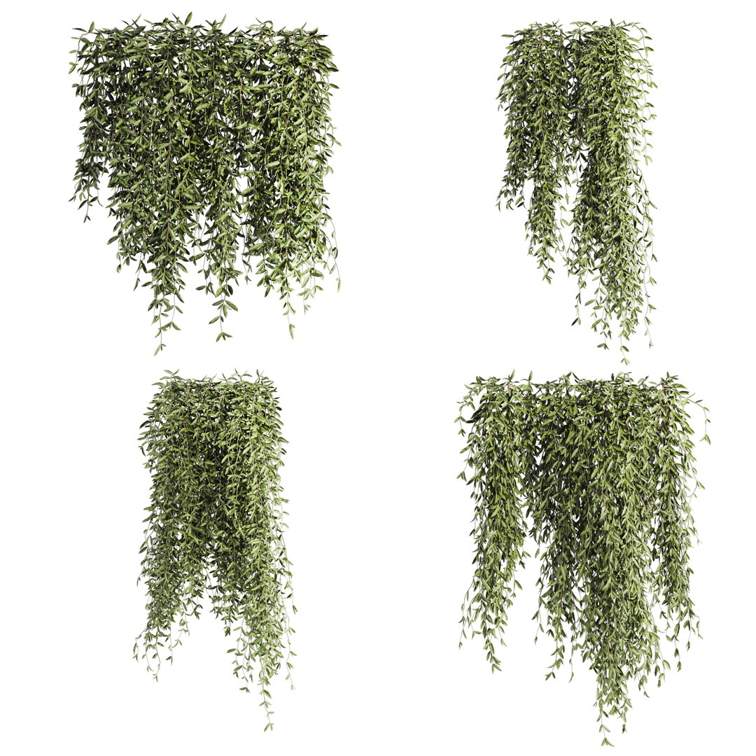 3D Ivy Model - TurboSquid 2361678