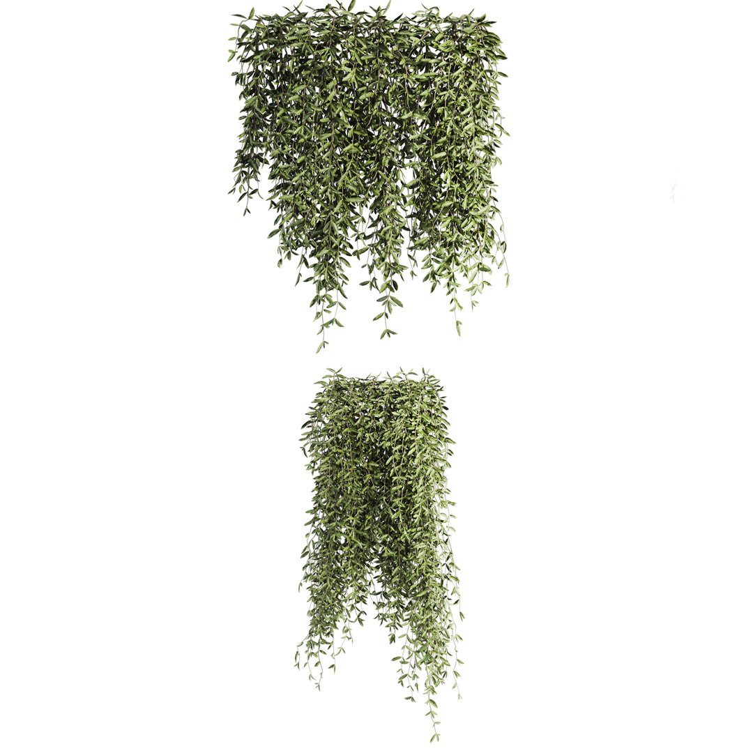 3D Ivy Model - TurboSquid 2361678
