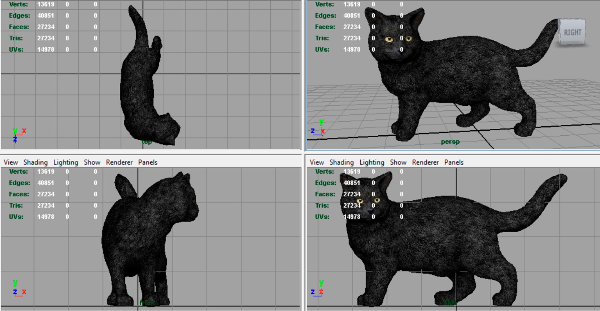 Cat 3D Model - TurboSquid 1166223