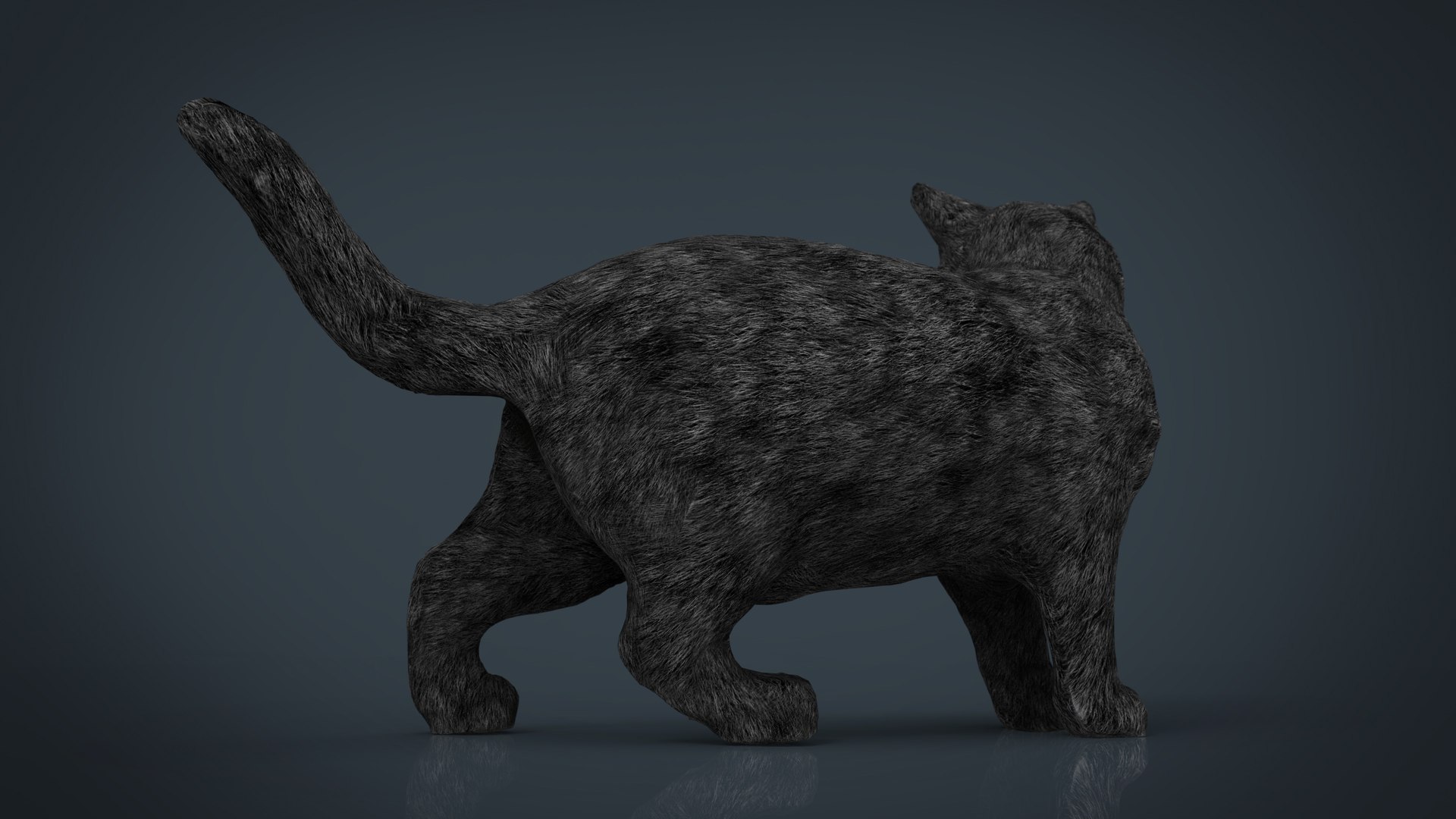 Cat 3D Model - TurboSquid 1166223