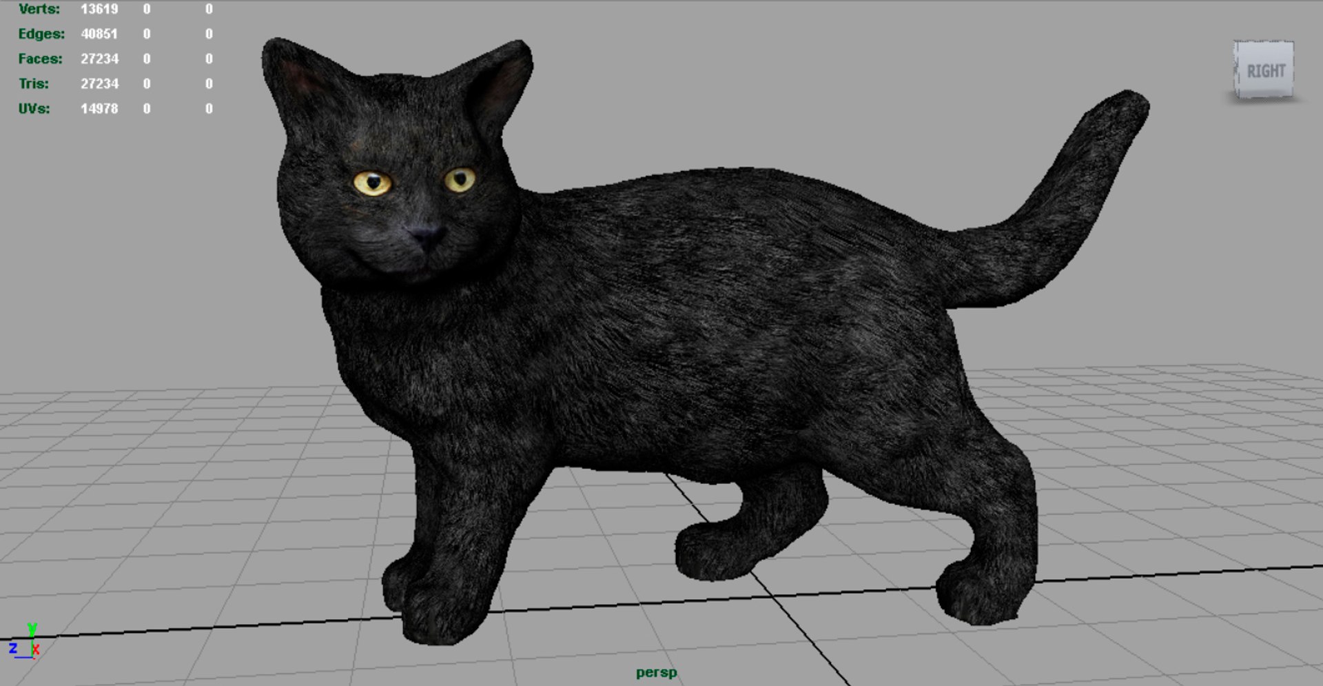 Cat 3D Model - TurboSquid 1166223