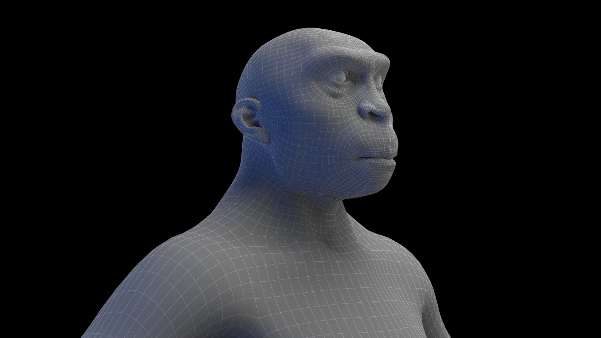 3D Homo Habilis Female Model - TurboSquid 2102627