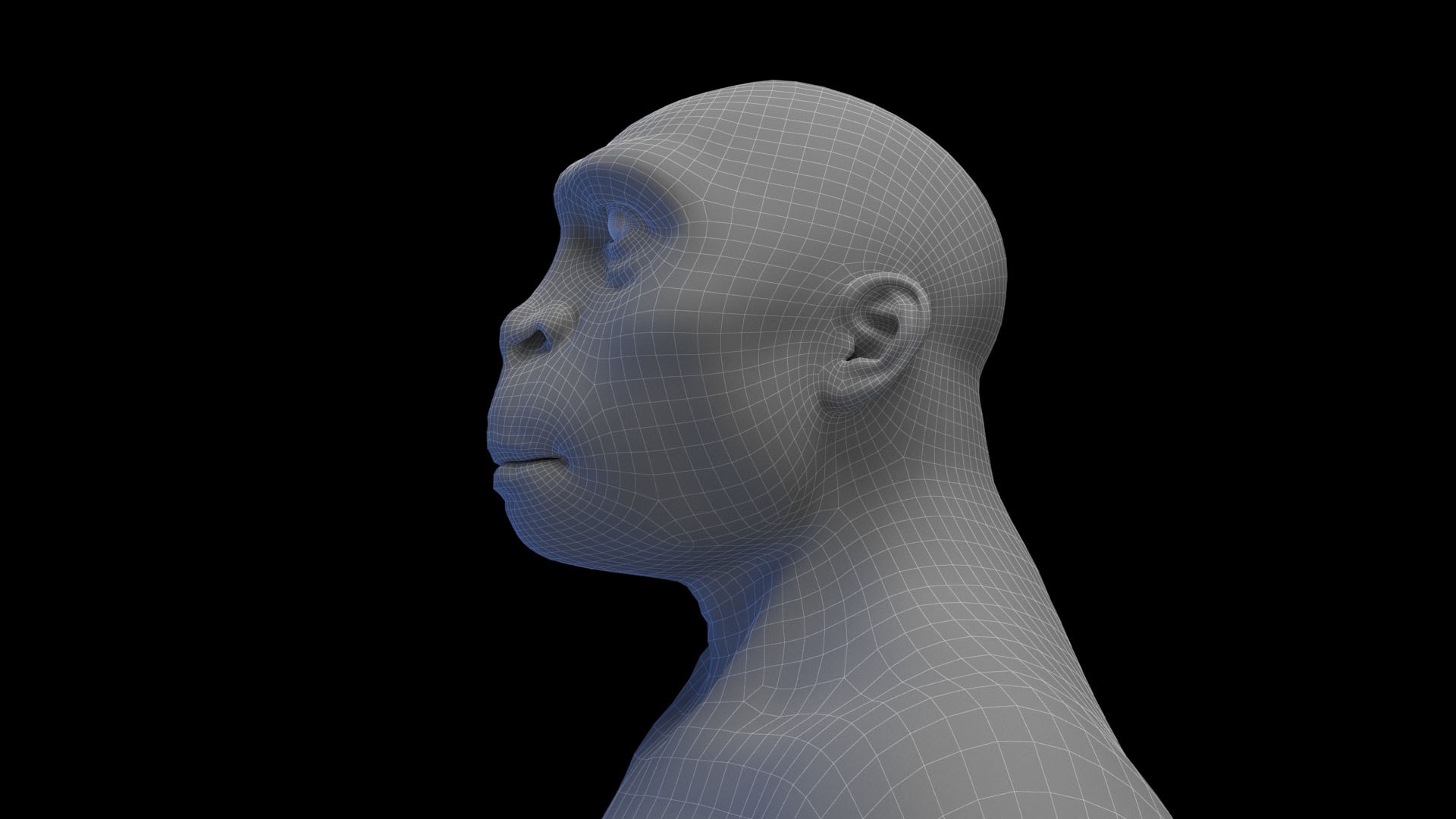 3D Homo Habilis Female Model - TurboSquid 2102627