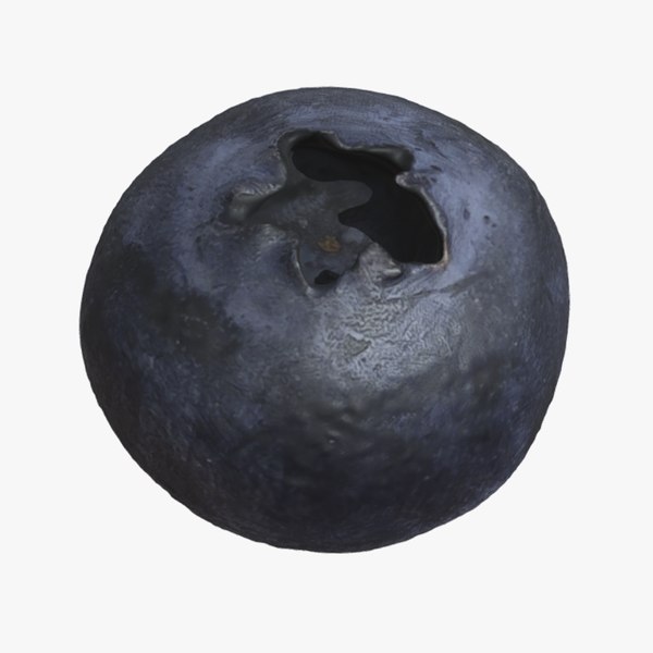 Blueberry 3D model - TurboSquid 1989082
