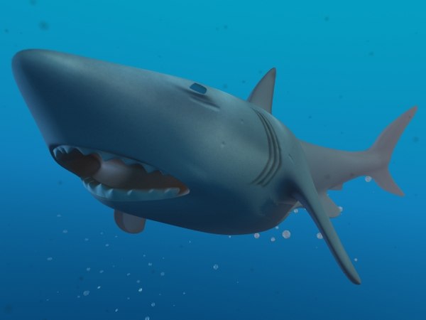 Free 3D Shark Models | TurboSquid