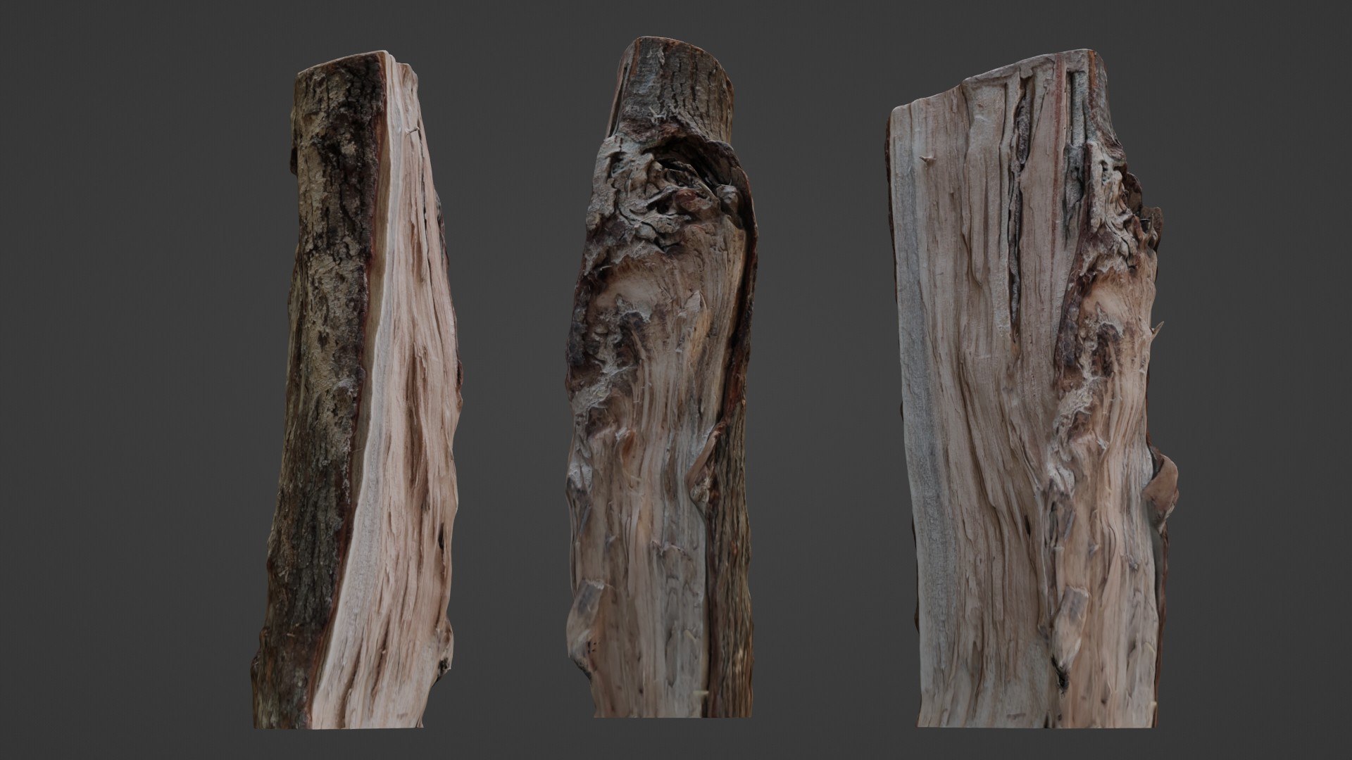 3D Cutted Log - TurboSquid 2330404