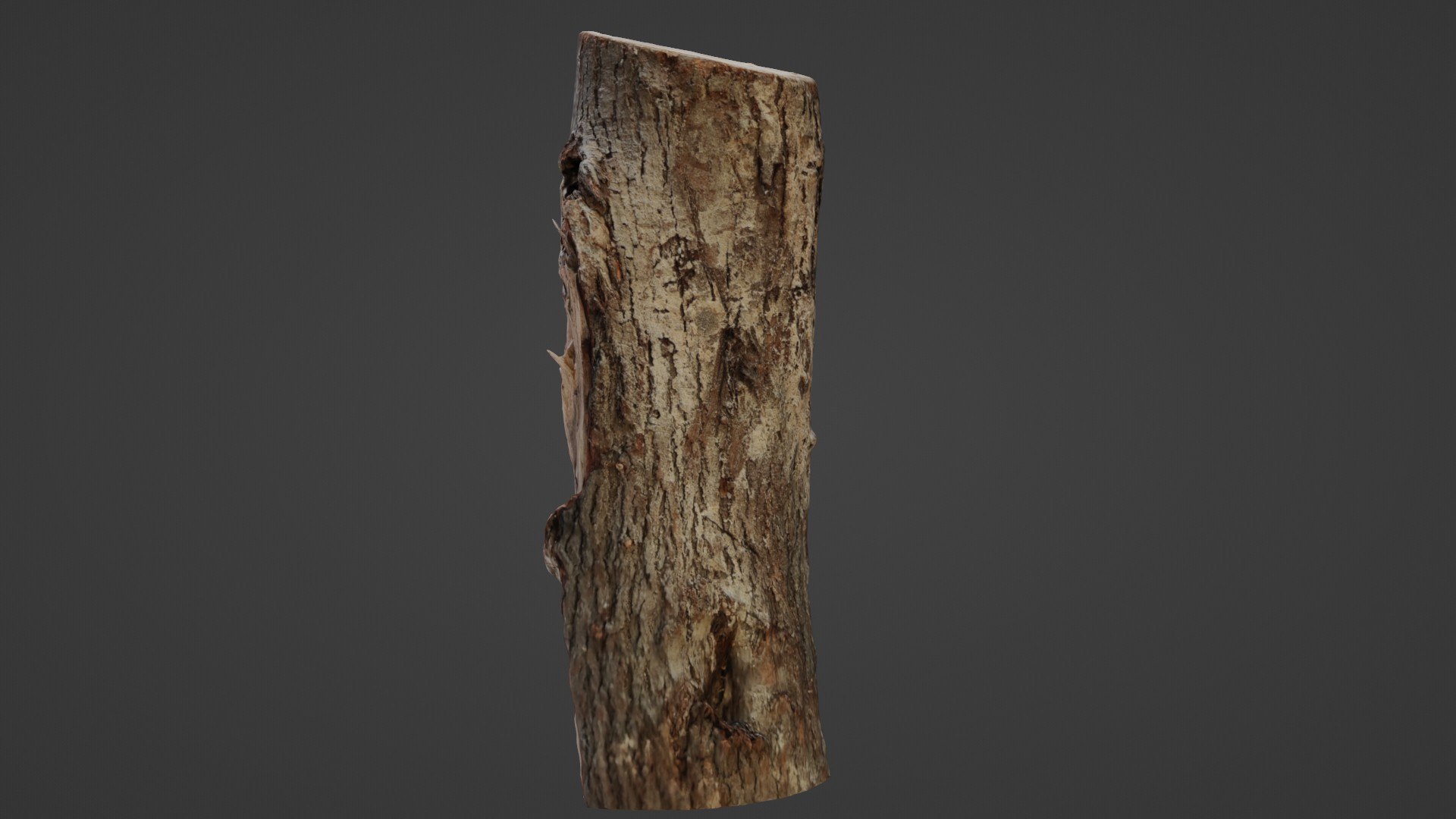 3D Cutted Log - TurboSquid 2330404