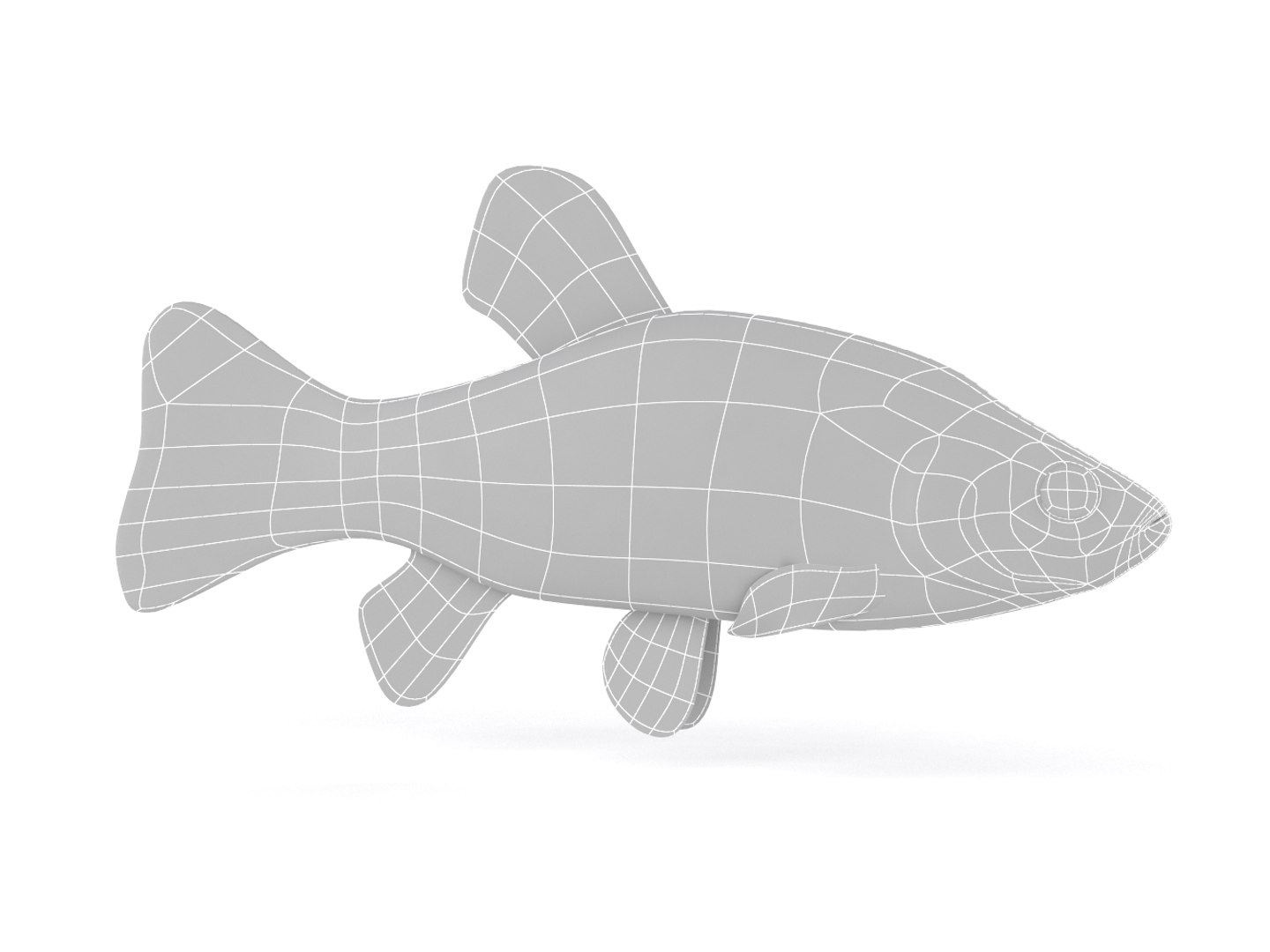 Tench Fish 3D - TurboSquid 1546962