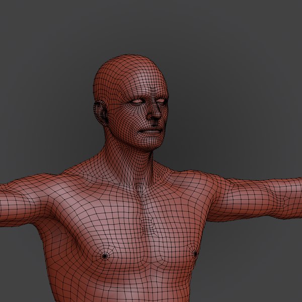 3d model of male details