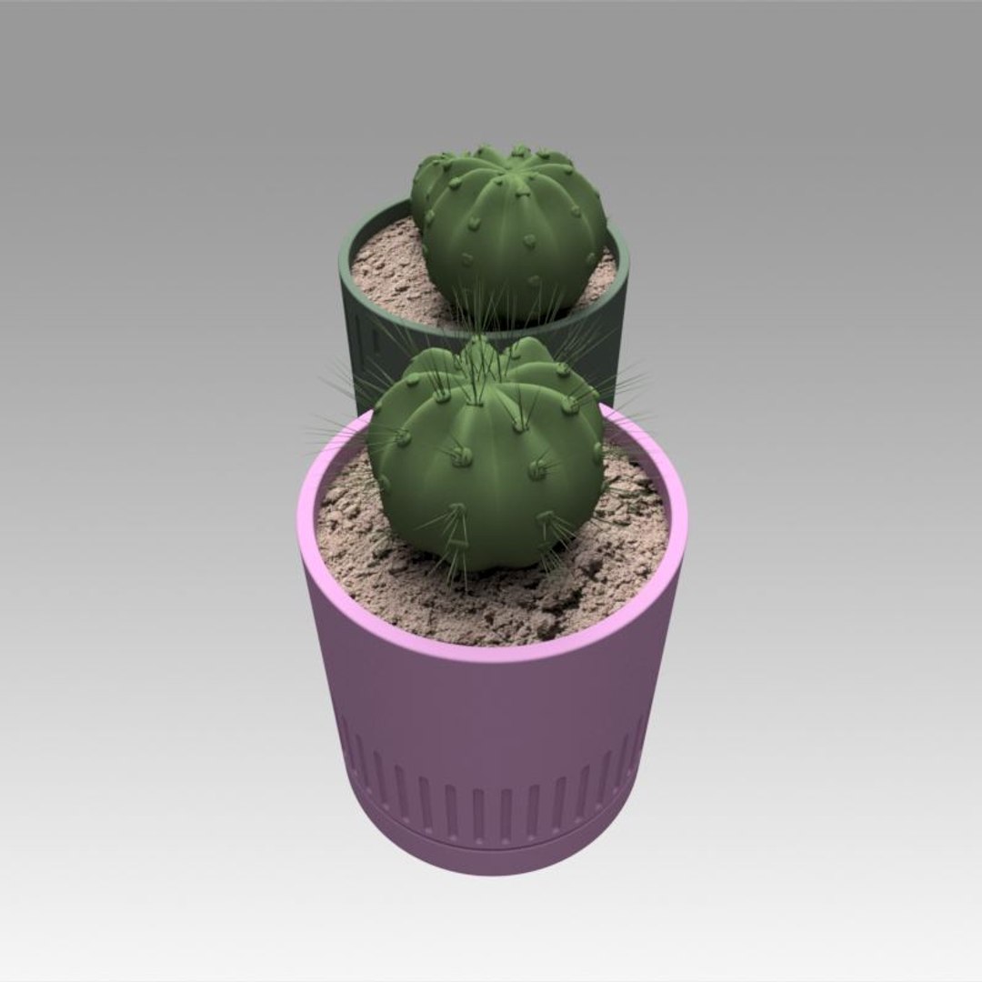Modeled Cactus Model - TurboSquid 1385251