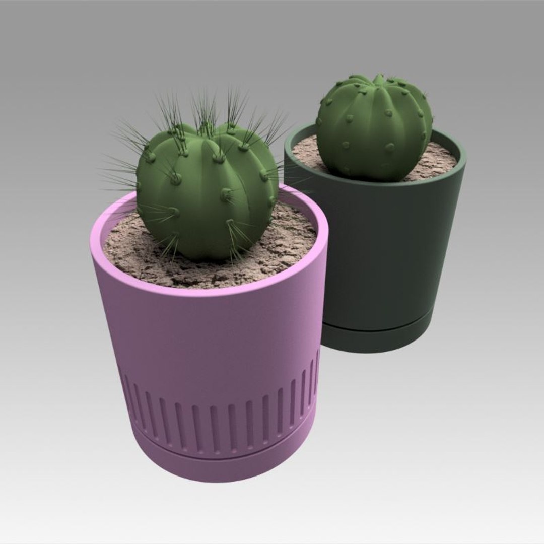 Modeled Cactus Model - TurboSquid 1385251