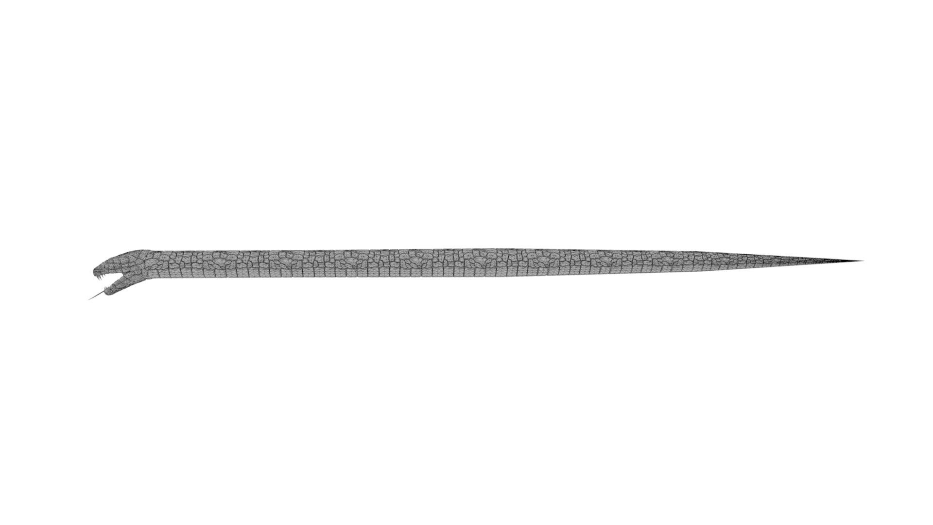 Snake Model - TurboSquid 2257161