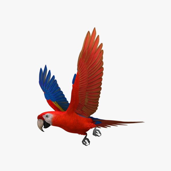 obj ara macao scarlet macaw