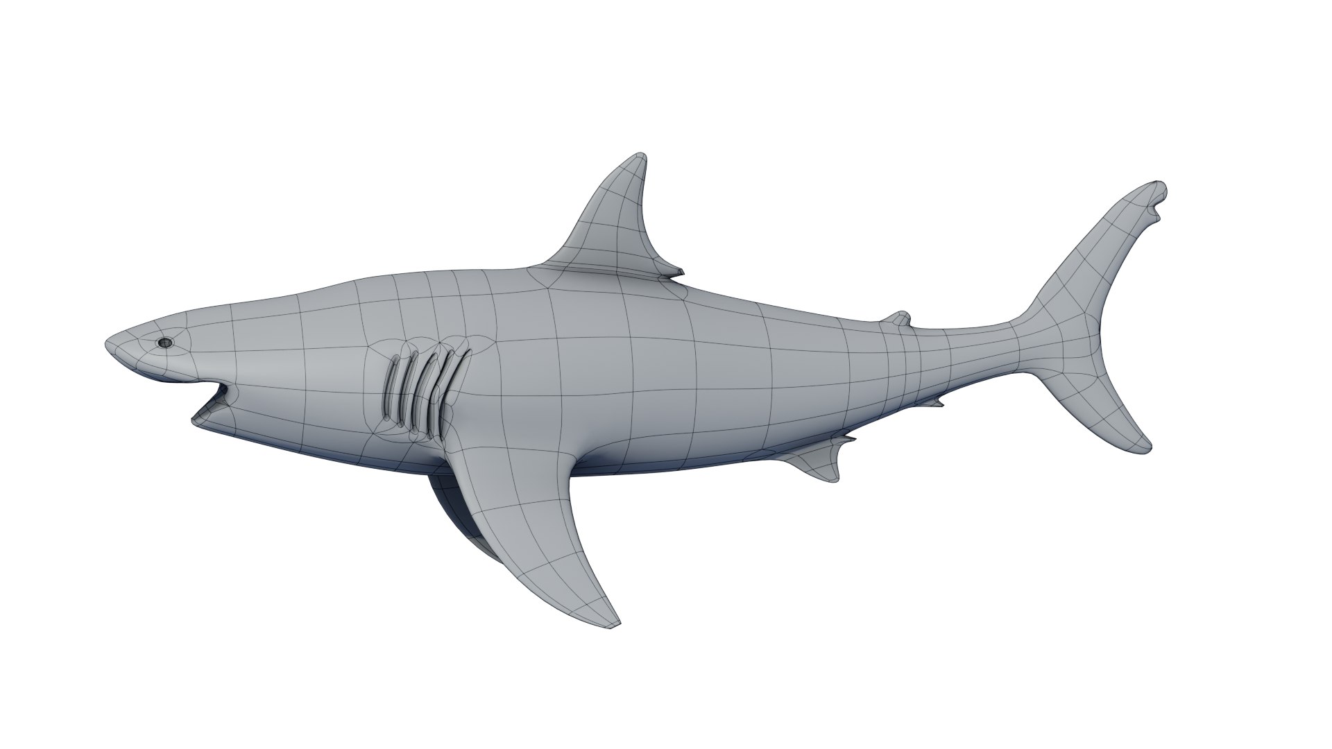 Great White Shark NO Rigged in Blender model - TurboSquid 2009438