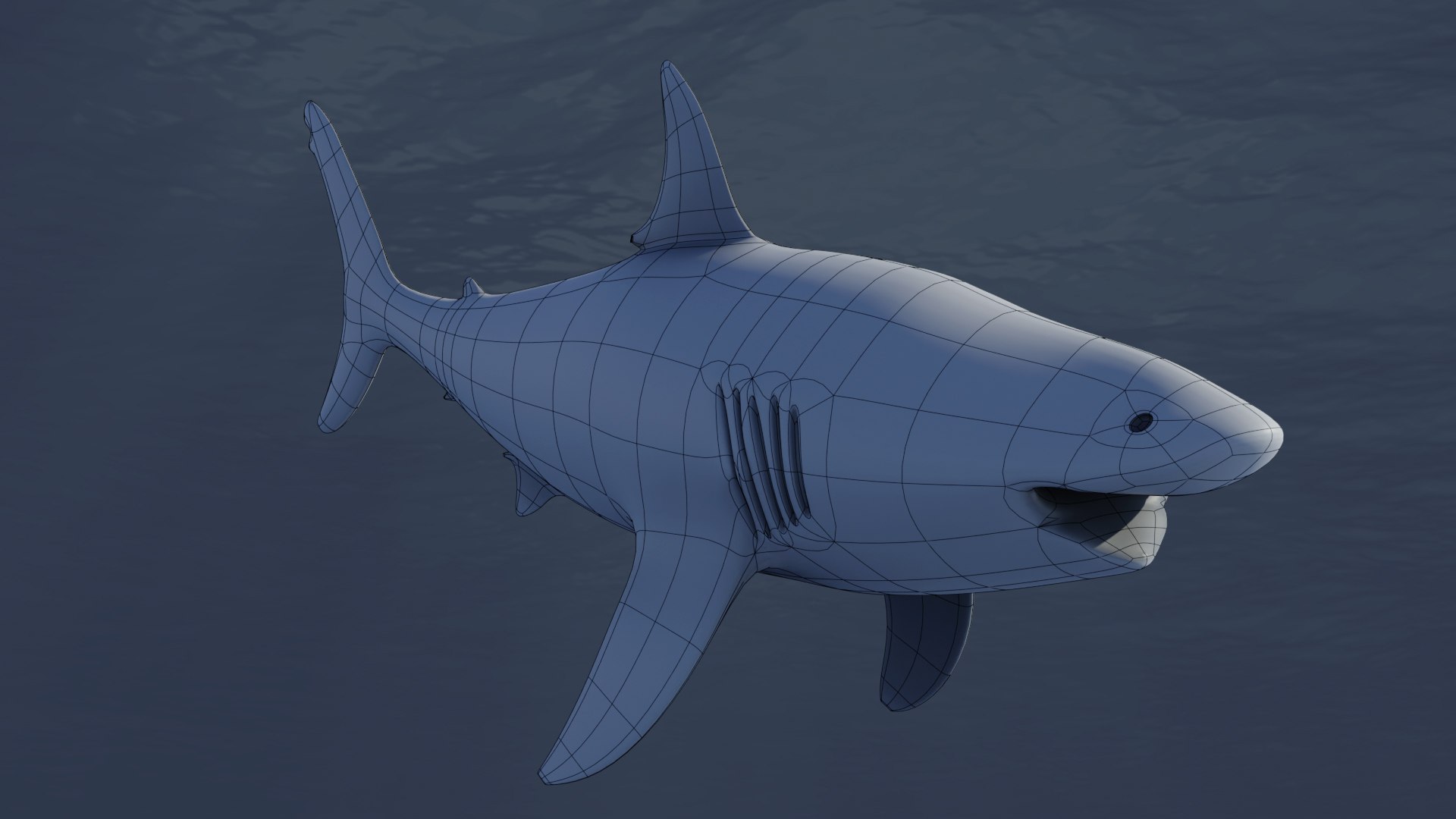 Great White Shark NO Rigged in Blender model - TurboSquid 2009438