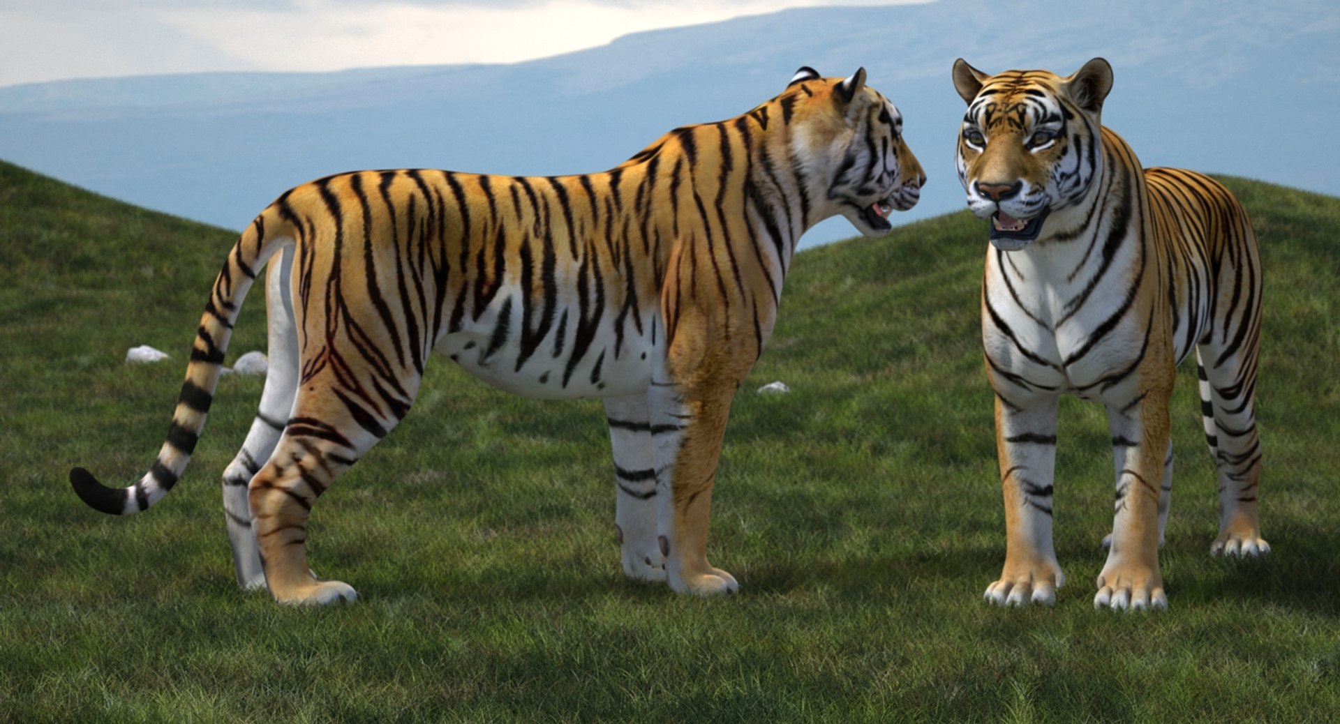 Tiger 3D model - TurboSquid 1271766
