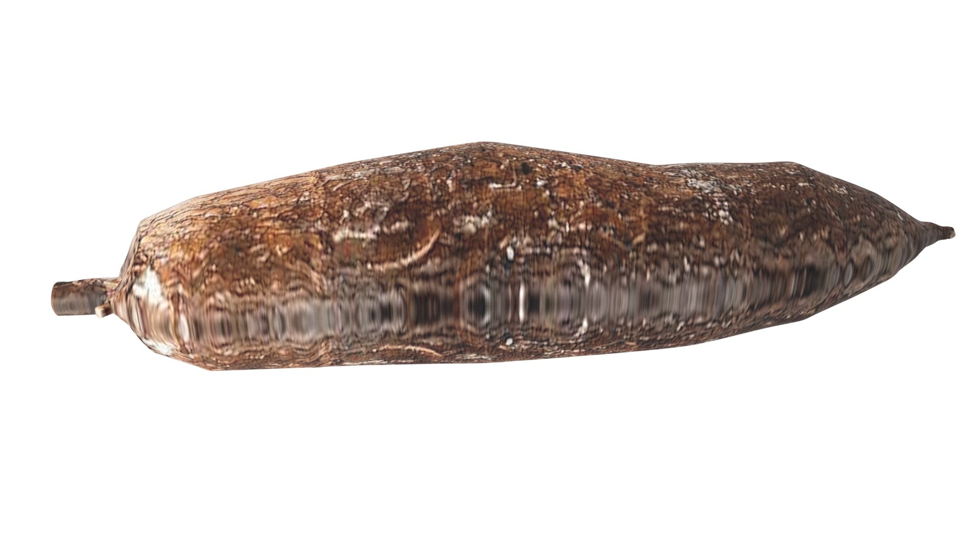 Cassava Manioc 3D Model - TurboSquid 2269288