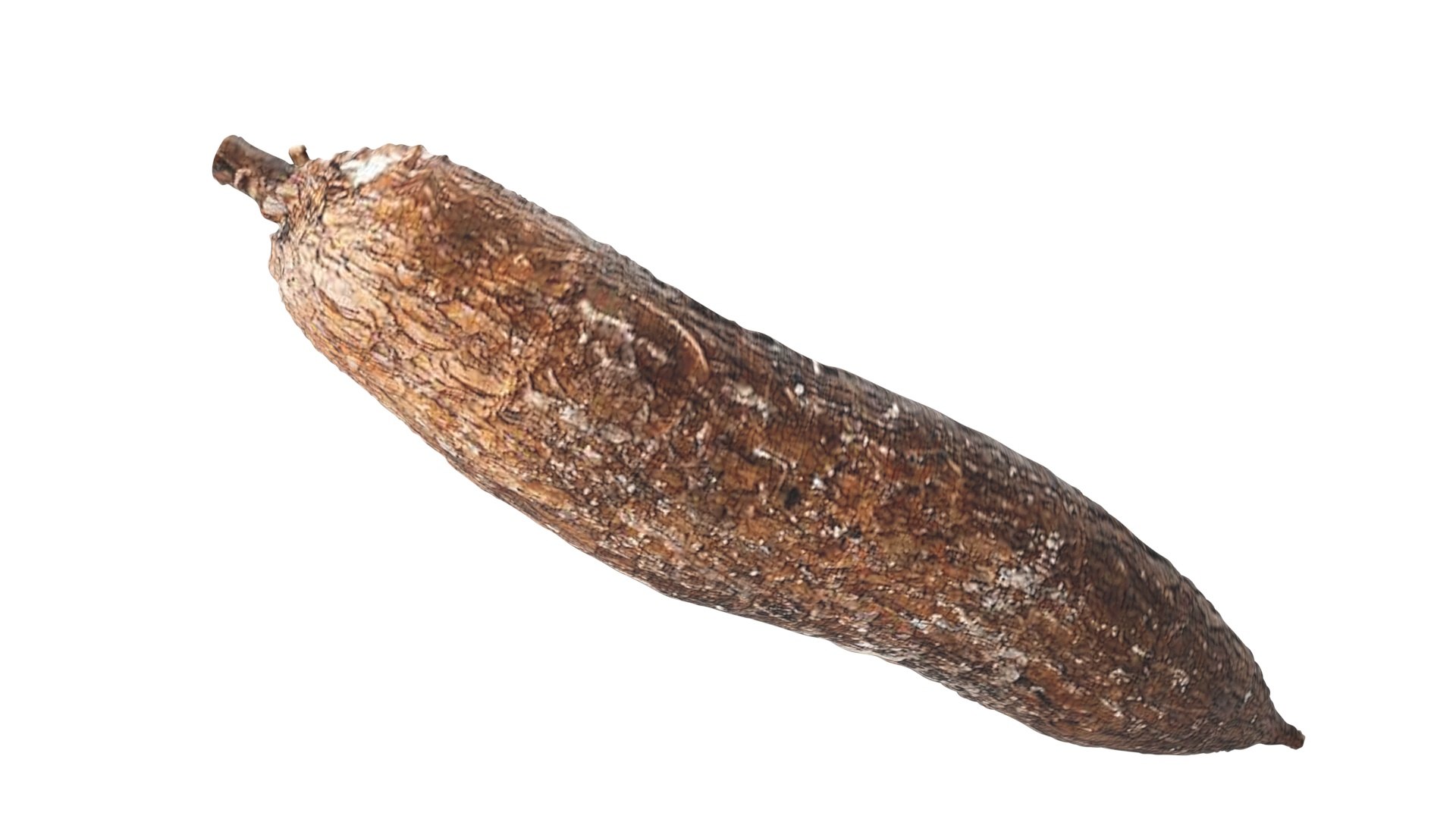 Cassava Manioc 3D Model - TurboSquid 2269288