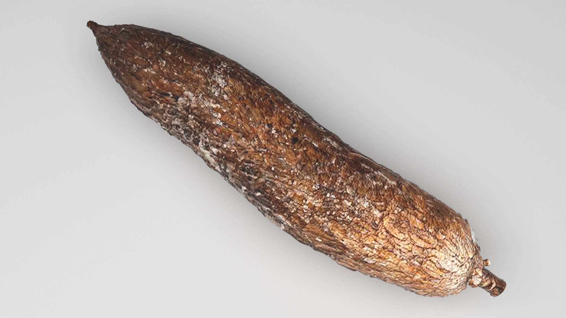 Cassava Manioc 3D Model - TurboSquid 2269288