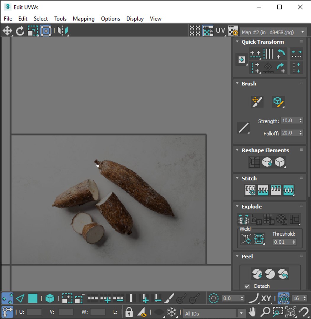 Cassava Manioc 3D Model - TurboSquid 2269288