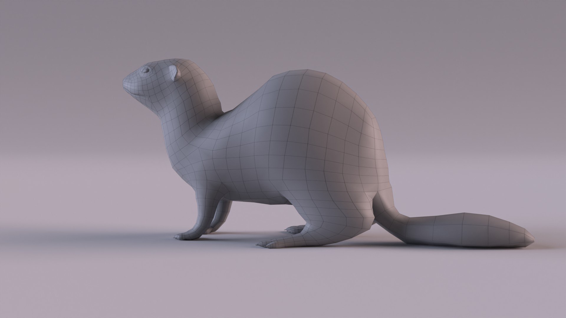 3D nature animal ferret model - TurboSquid 1443916