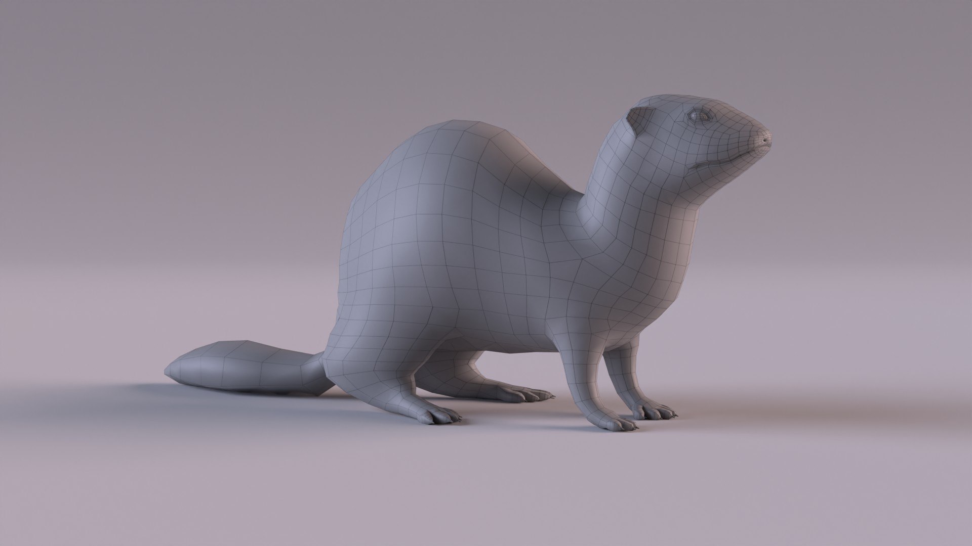 3D nature animal ferret model - TurboSquid 1443916