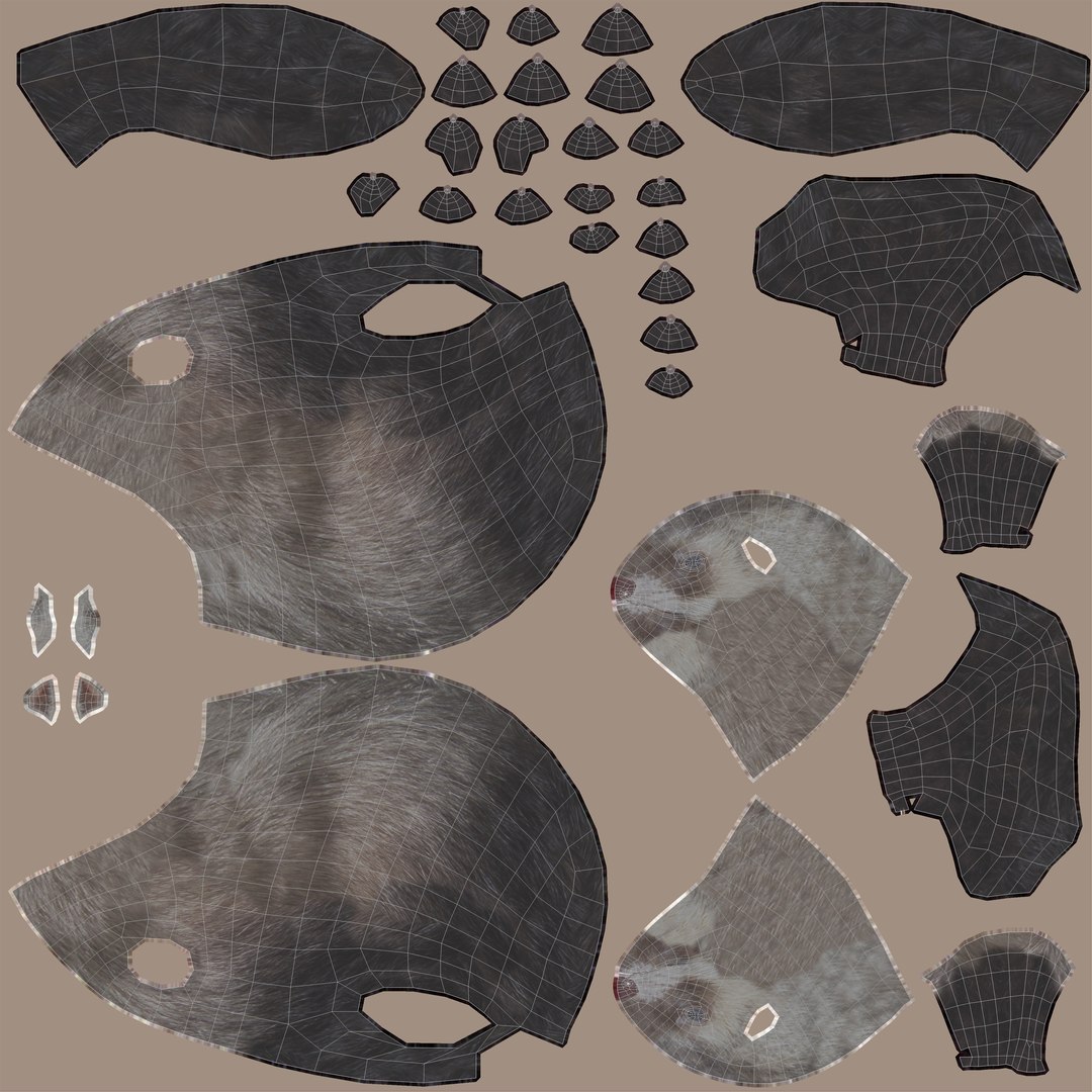 3D nature animal ferret model - TurboSquid 1443916