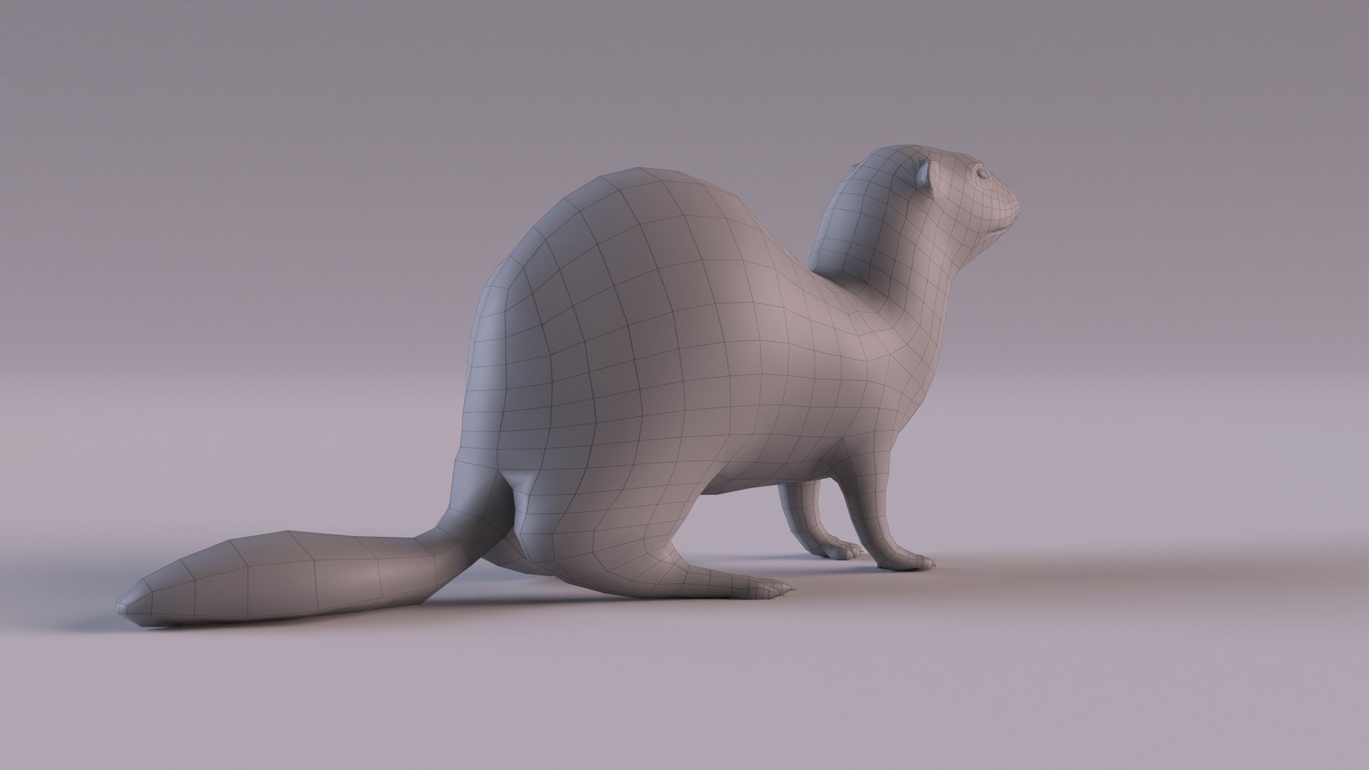 3D nature animal ferret model - TurboSquid 1443916