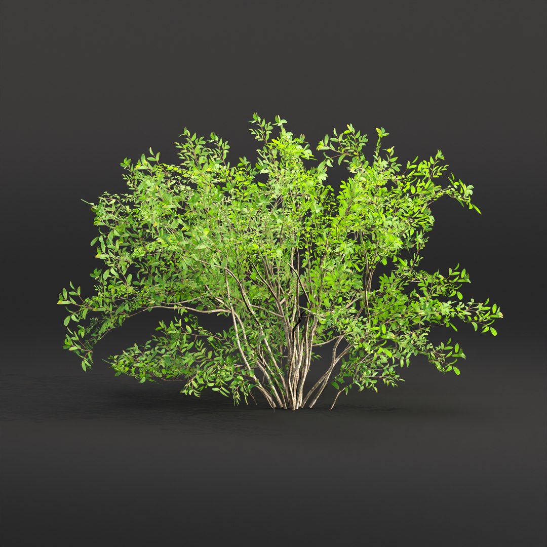 3D Low Poly Bushes Collection Vol 30-Blender-3dmodel Model - TurboSquid ...