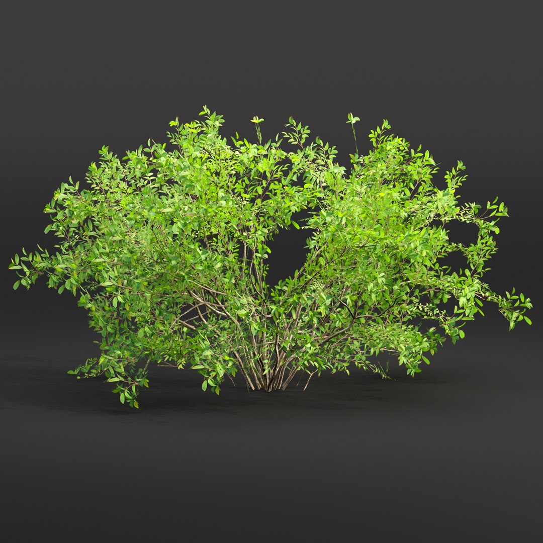 3D Low Poly Bushes Collection Vol 30-Blender-3dmodel Model - TurboSquid ...