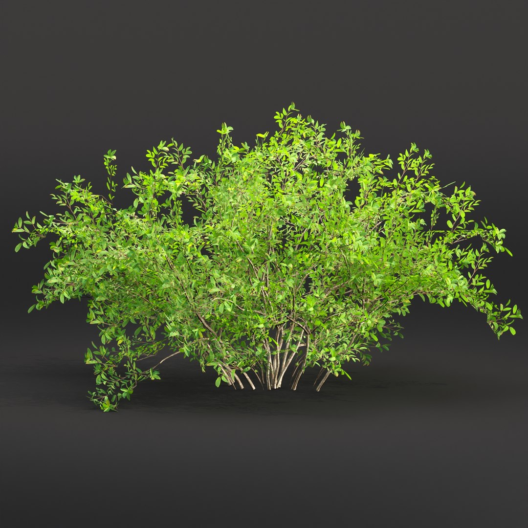 3D Low Poly Bushes Collection Vol 30-Blender-3dmodel Model - TurboSquid ...