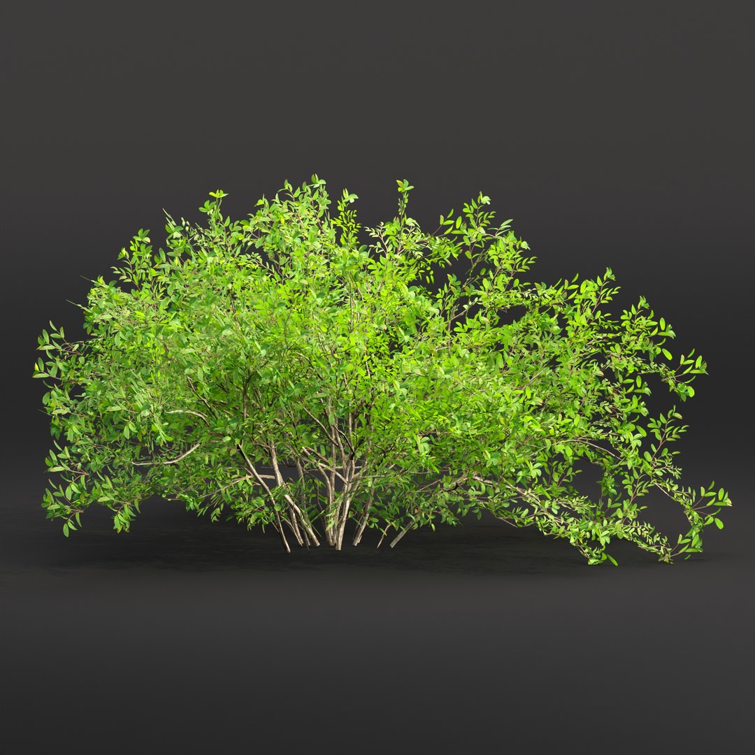 3D Low Poly Bushes Collection Vol 30-Blender-3dmodel Model - TurboSquid ...
