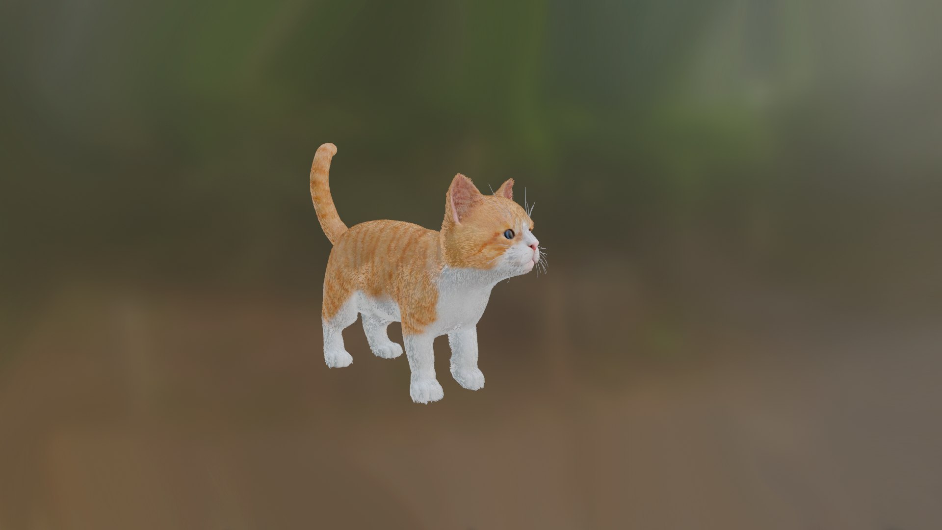 Kitten 3D Model - TurboSquid 1862961