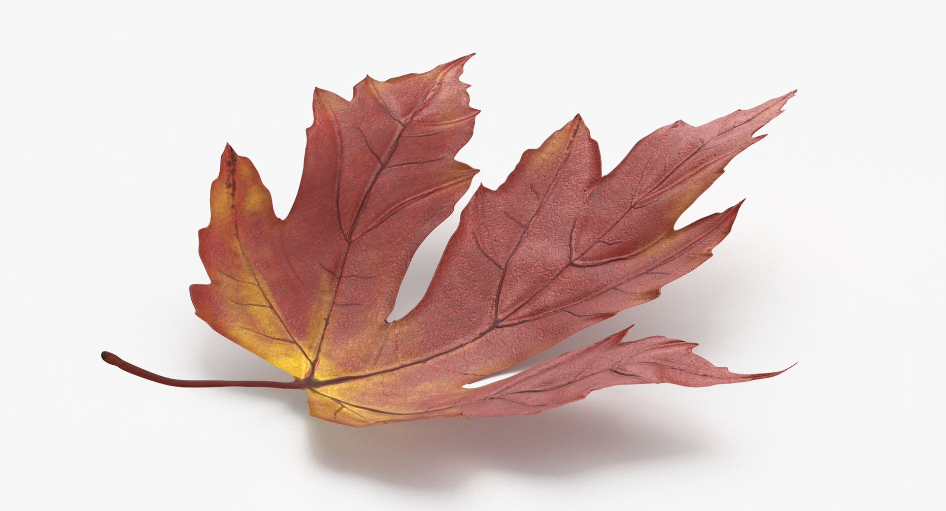 Prop Autumn Leaves Type 01 3D Model - TurboSquid 2151084
