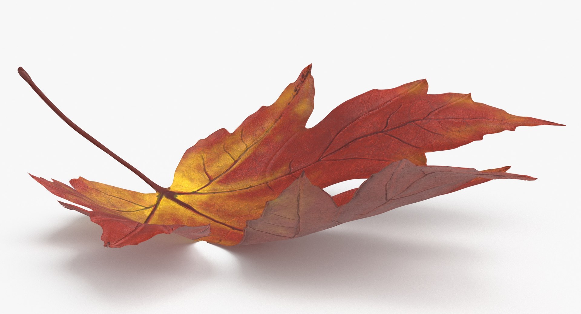 Prop Autumn Leaves Type 01 3D Model - TurboSquid 2151084