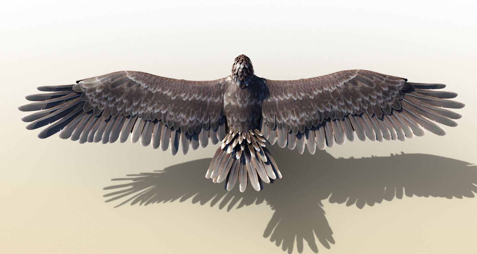 3D Golden Eagle Realistic Rigged Model - TurboSquid 2016486