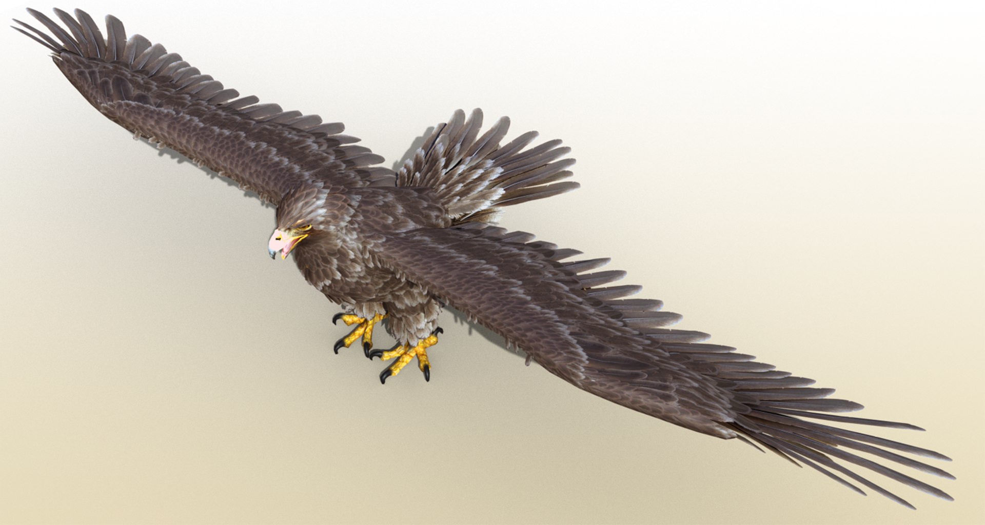 3D Golden Eagle Realistic Rigged Model - TurboSquid 2016486