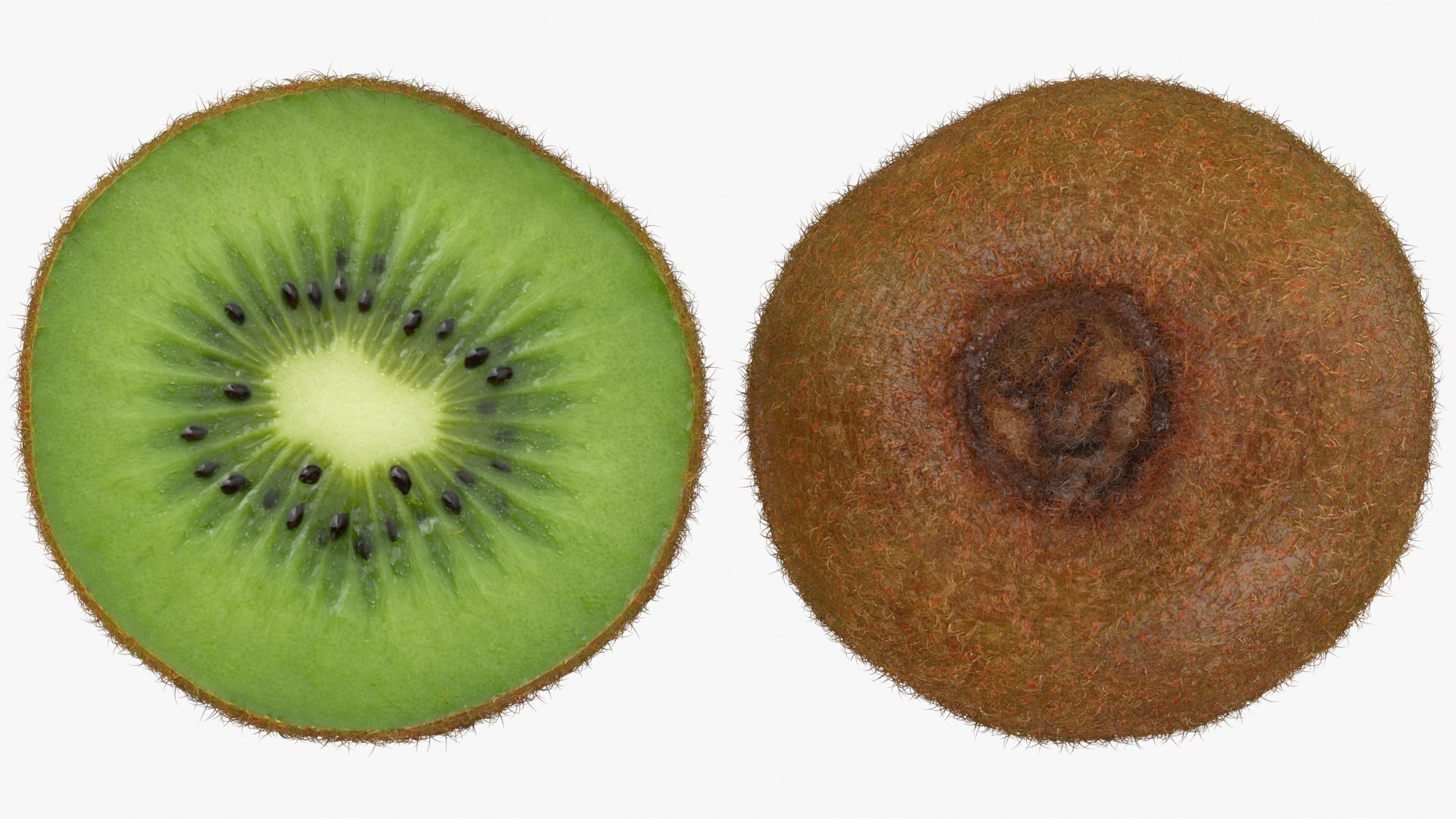 3D Kiwi Collection 2 Model - TurboSquid 2267920