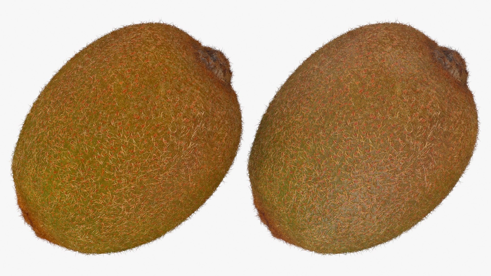 3D Kiwi Collection 2 Model - TurboSquid 2267920