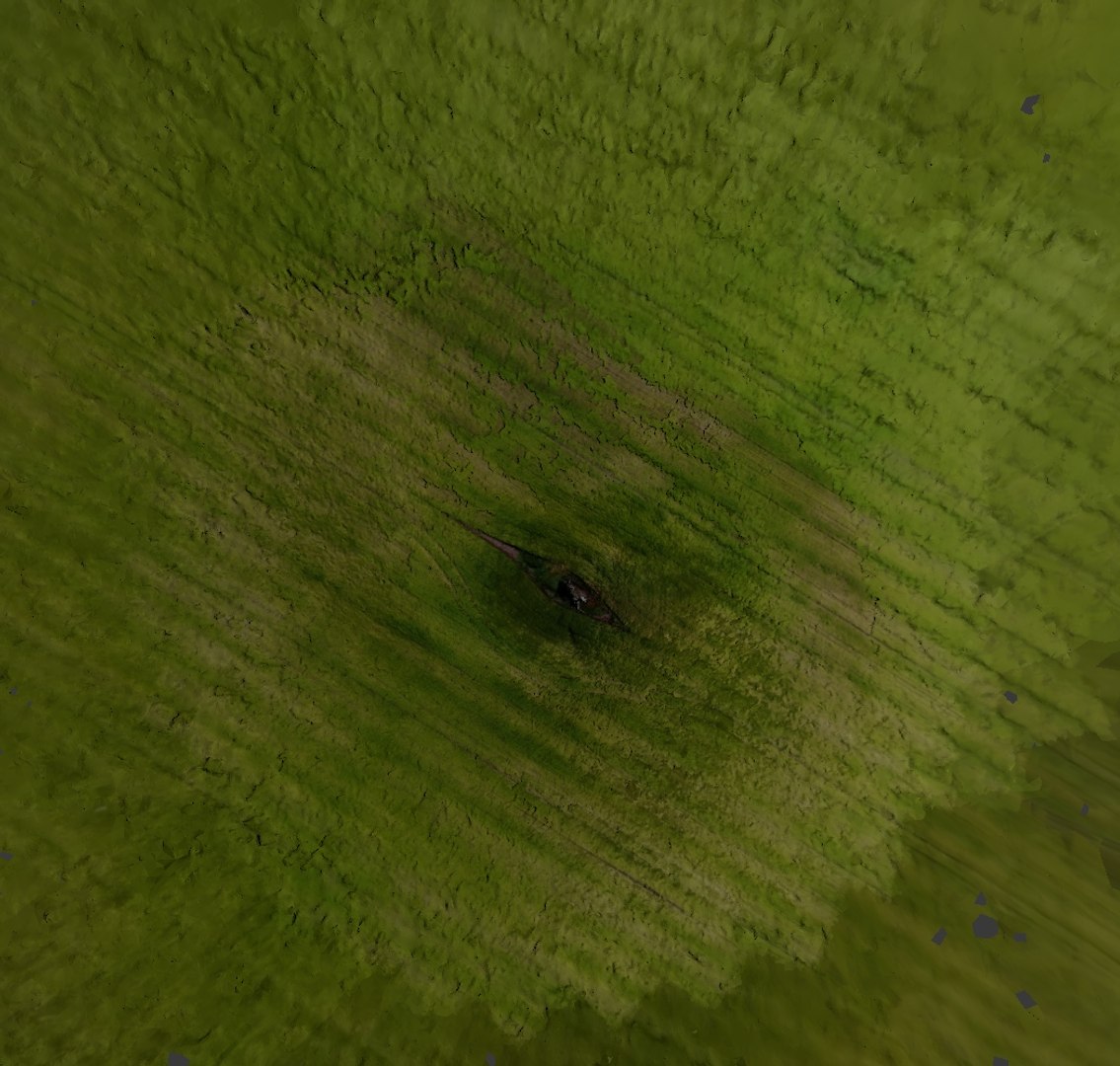 Tree Dead Field Model - TurboSquid 1389840