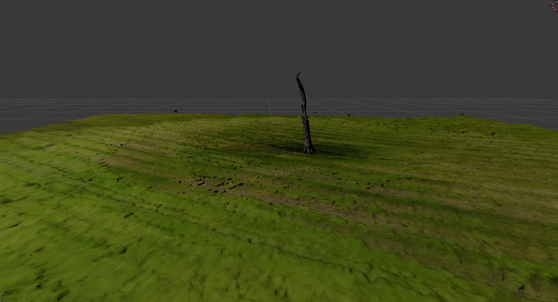 Tree Dead Field Model - TurboSquid 1389840
