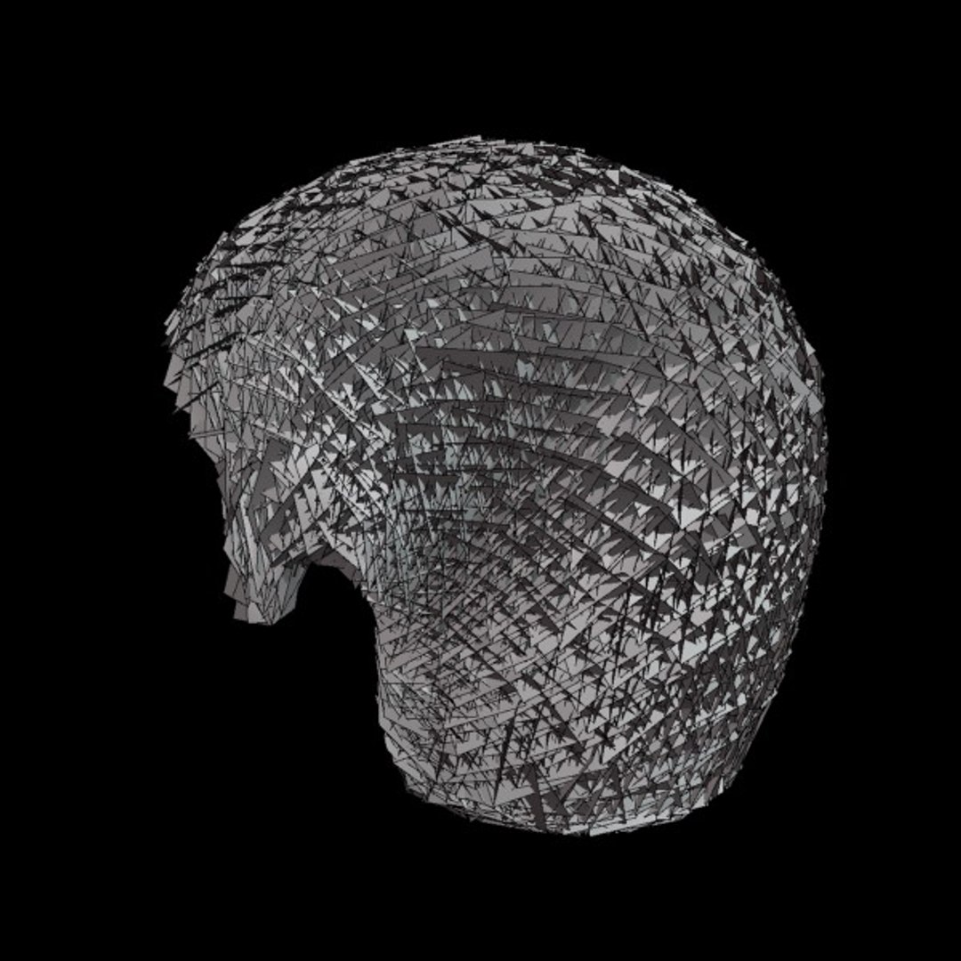 Robert Hair 3d Model