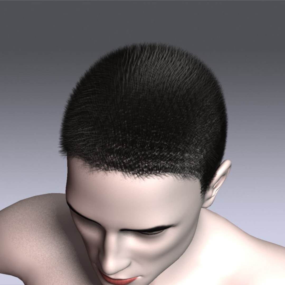Robert Hair 3d Model